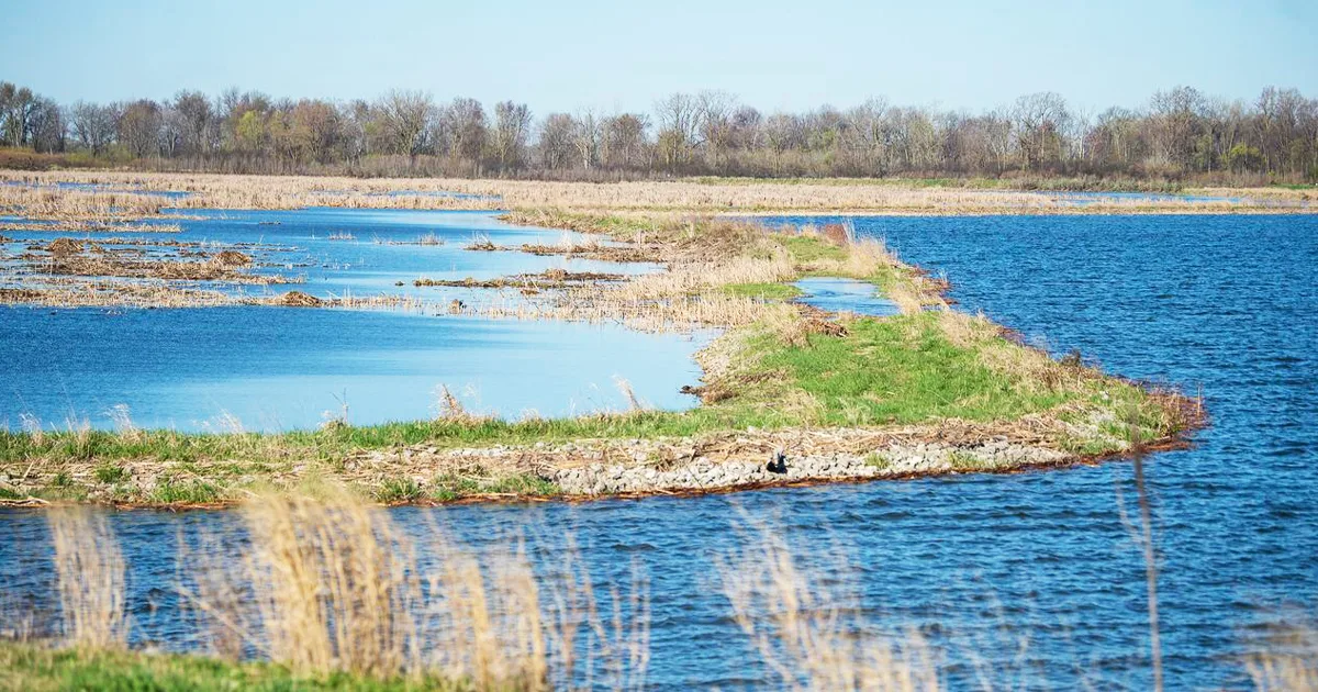 underrated michigan wildlife area ftr