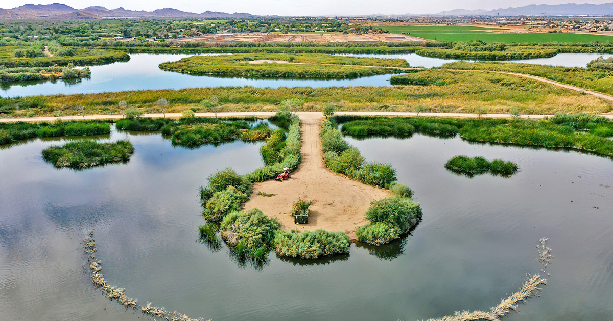 unexpected wetlands in arizona ftr