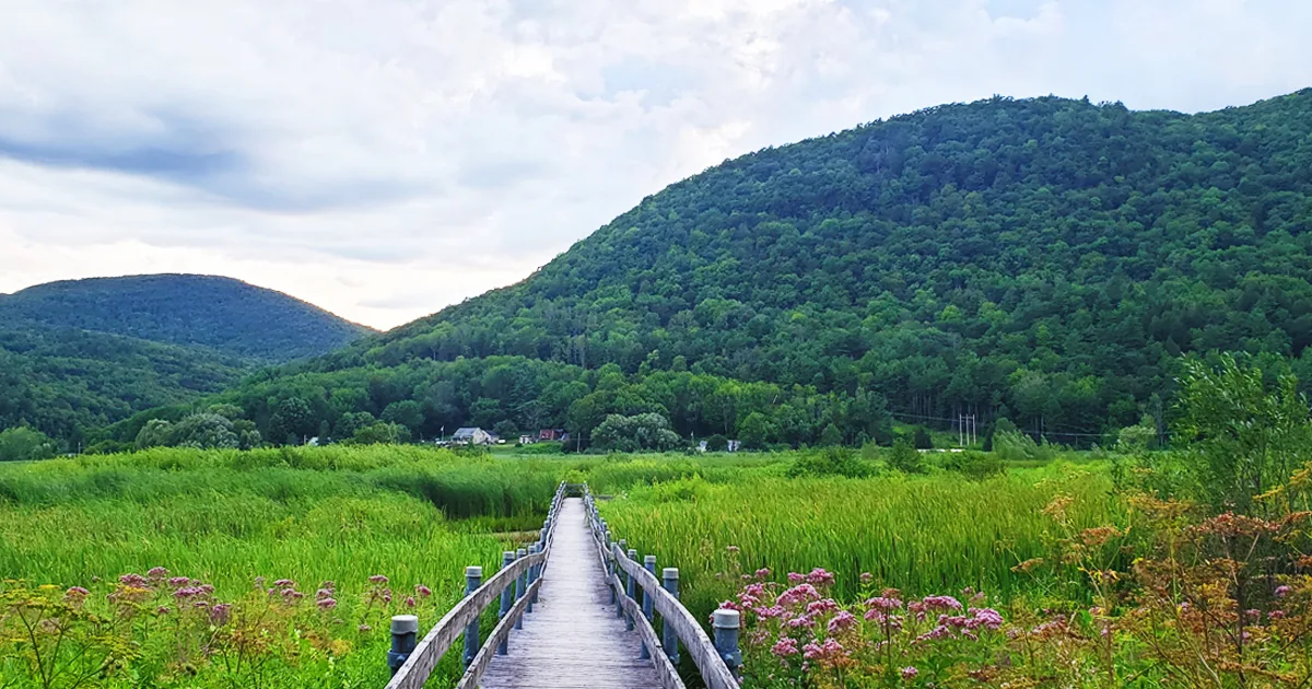 west rutland marsh boardwalk ftr