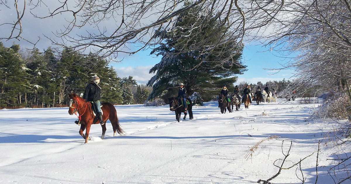 winter horseback ride maine ftr
