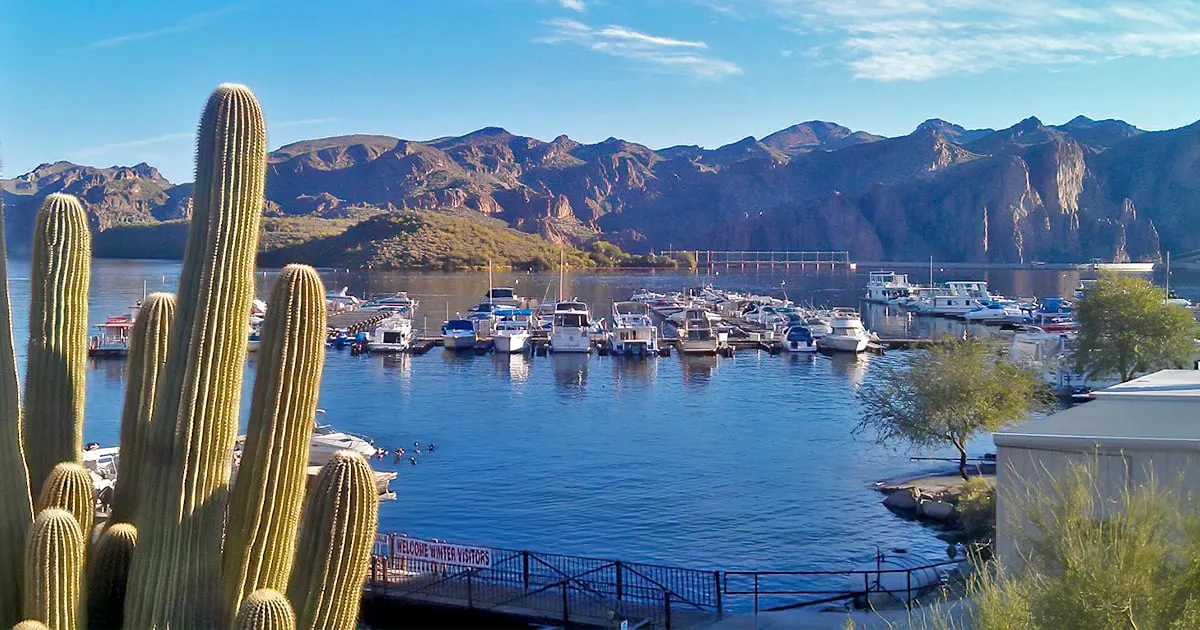 year round lake arizona ftr