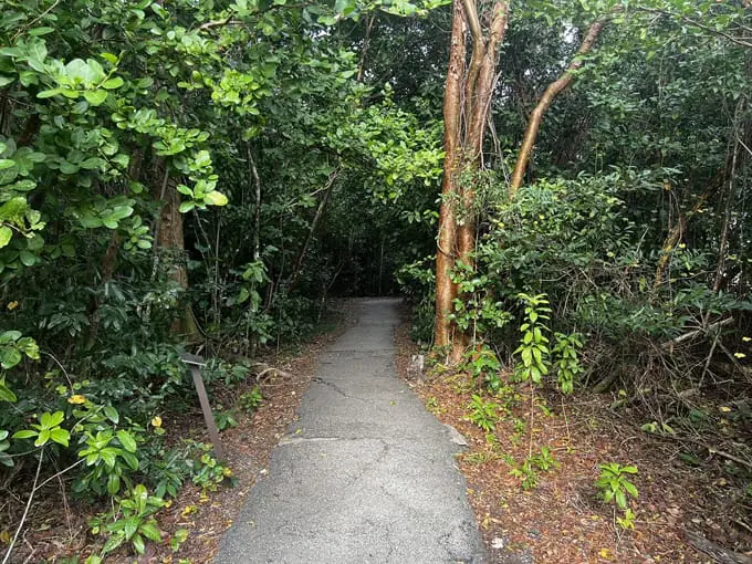 anhinga boardwalk trail 6