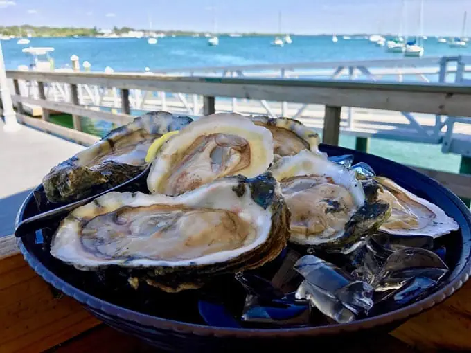 anna maria oyster bar 4