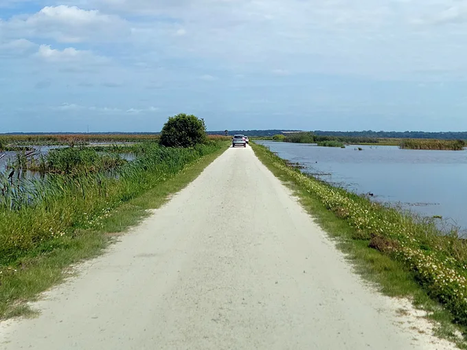 apopka wildlife driving trail 1