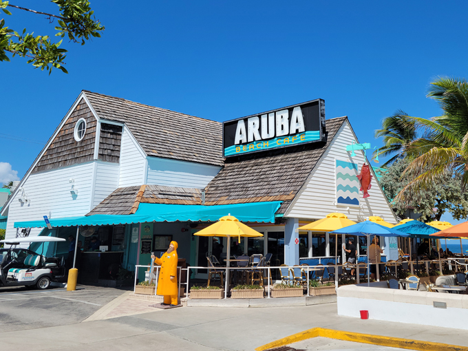 aruba beach cafe lauderdale by the sea