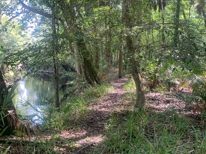 aucilla sinks loop 1