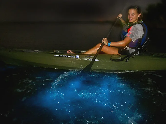 bioluminescence tours 2