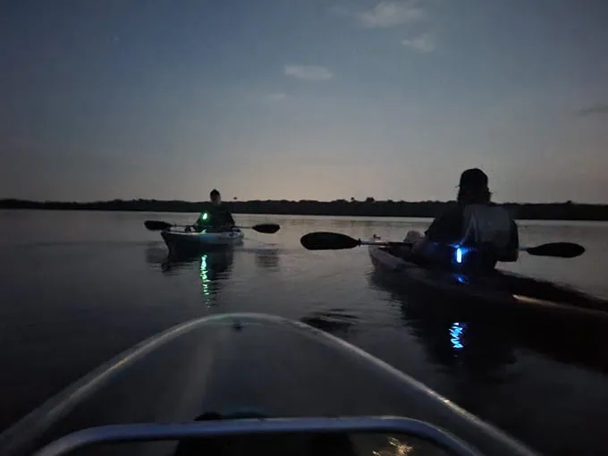 bioluminescence tours 8