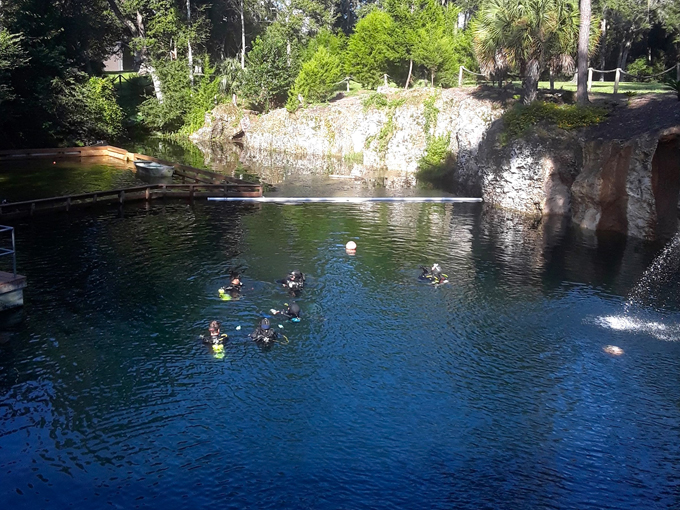 blue grotto dive resort 5