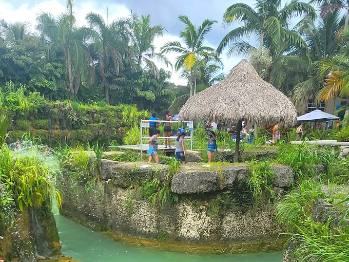 blue lagoon farm 1