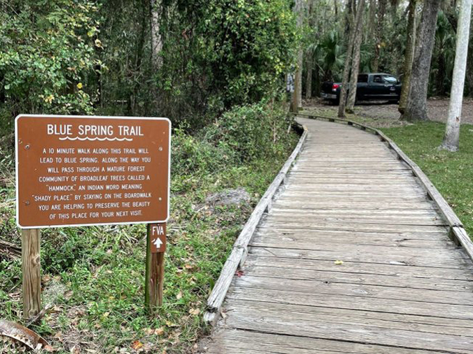 blue spring boardwalk trail 1