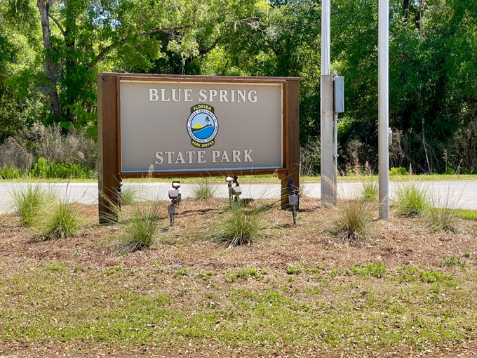 blue spring state park 2