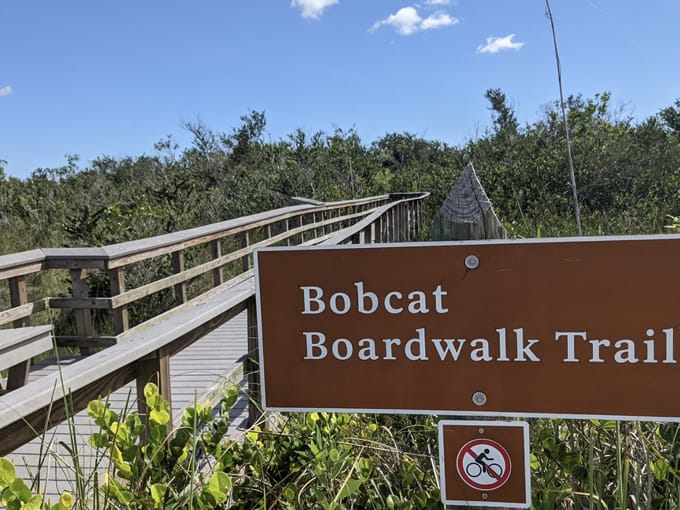 bobcat boardwalk trail 1