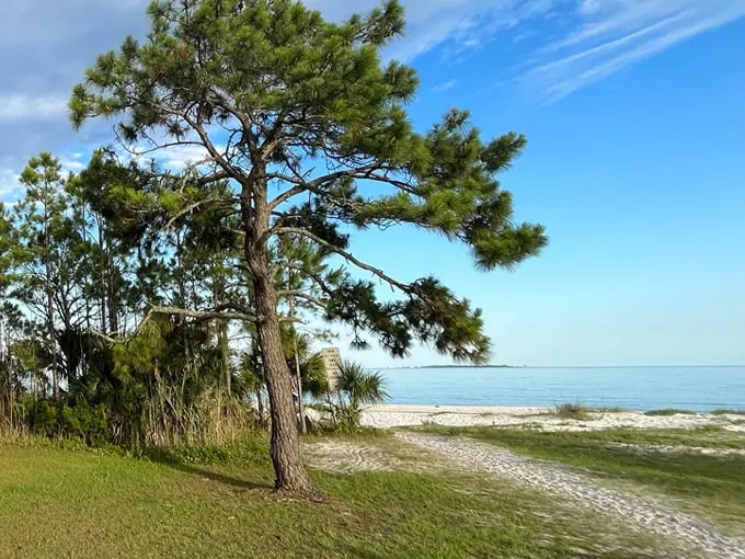 carrabelle beach 9
