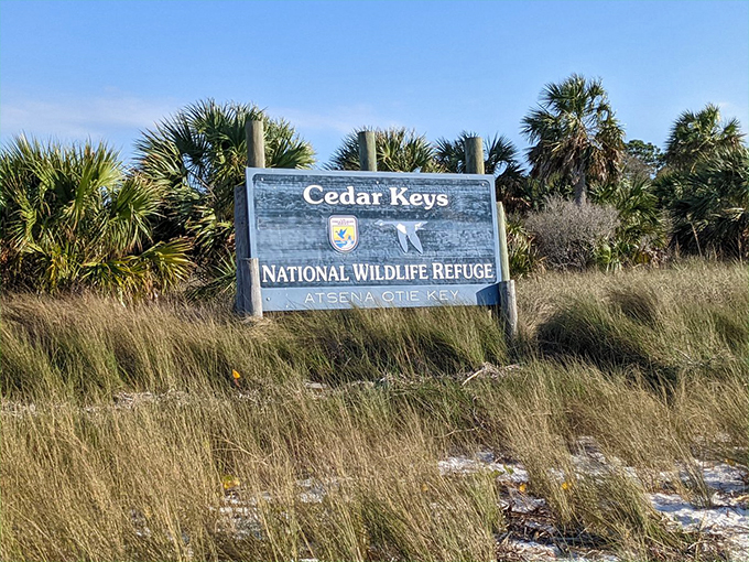 cedar keys national wildlife refuge
