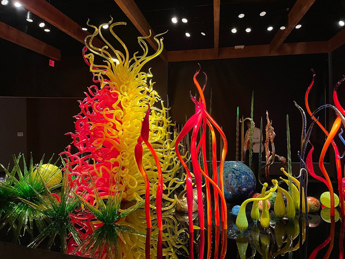 chihuly collection 9