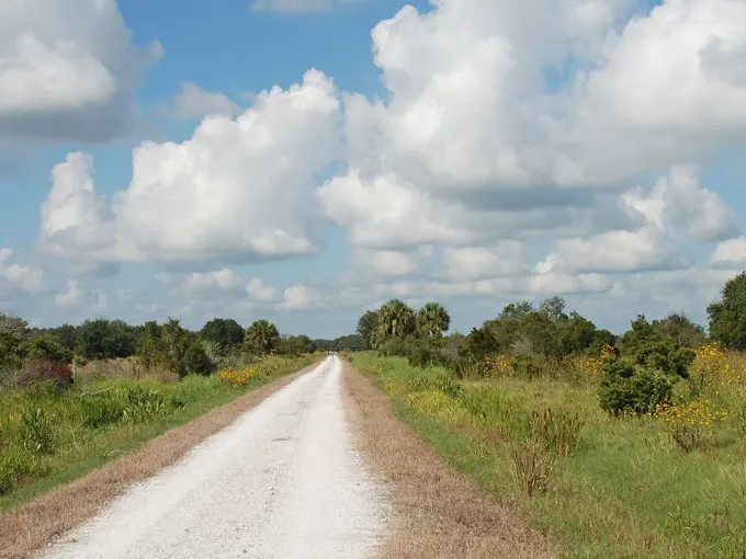 clewiston 4
