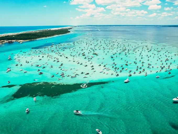 crab island 2