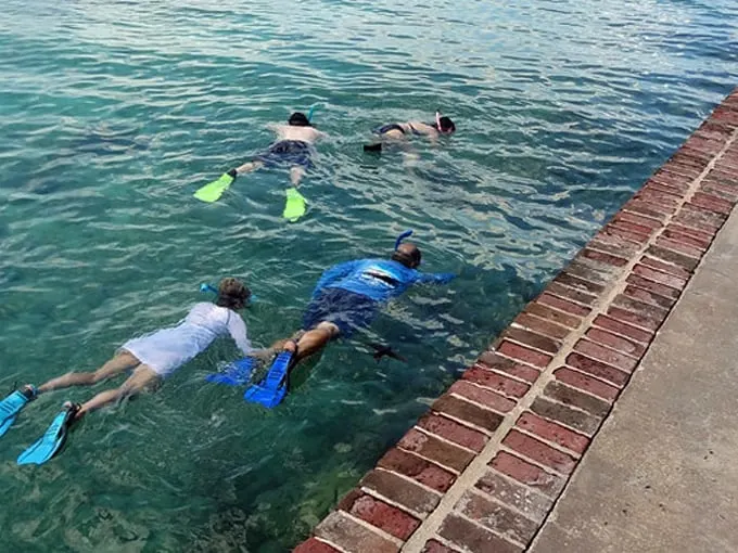 dry tortugas national park 8
