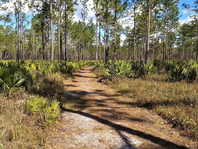 dunns farm trail 1