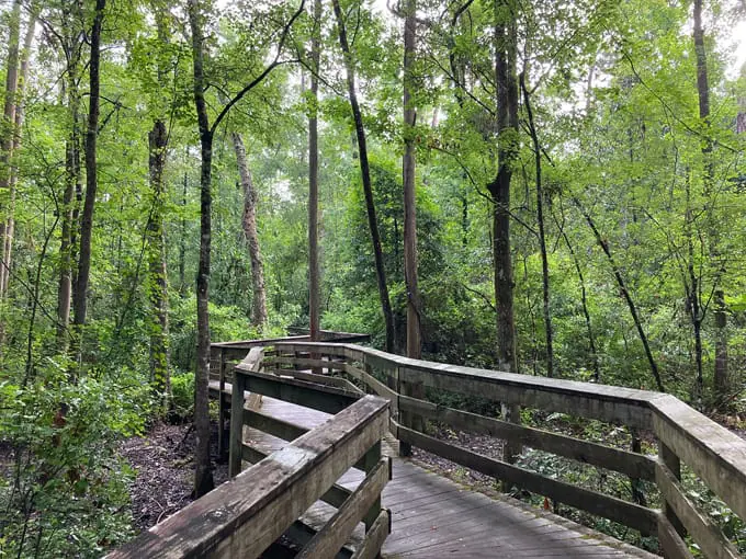 falling creek falls trail 3