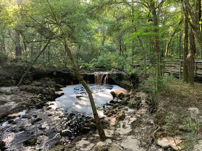 falling creek falls trail 6