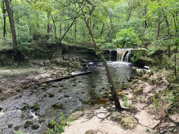 falling creek falls trail 7