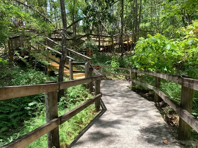falling waters state park 2