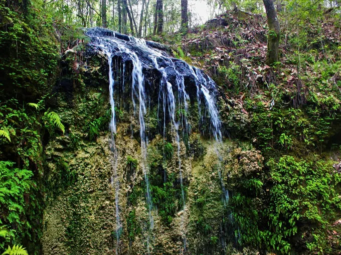 falling waters state park 5
