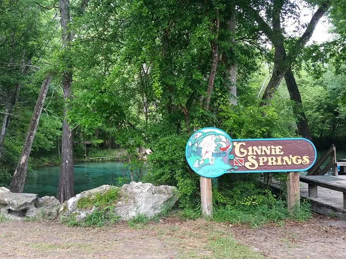 ginnie springs 1