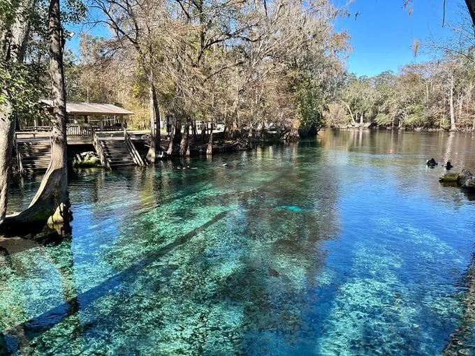 ginnie springs 3