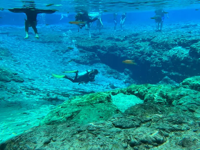 ginnie springs 4