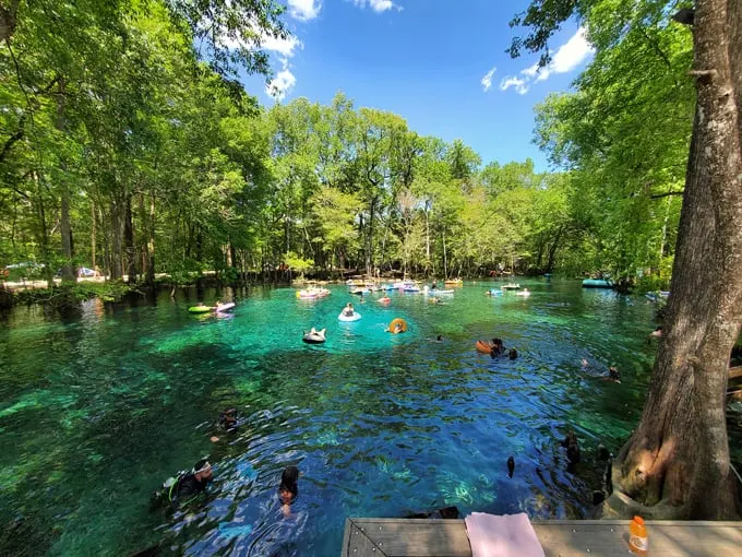ginnie springs 5