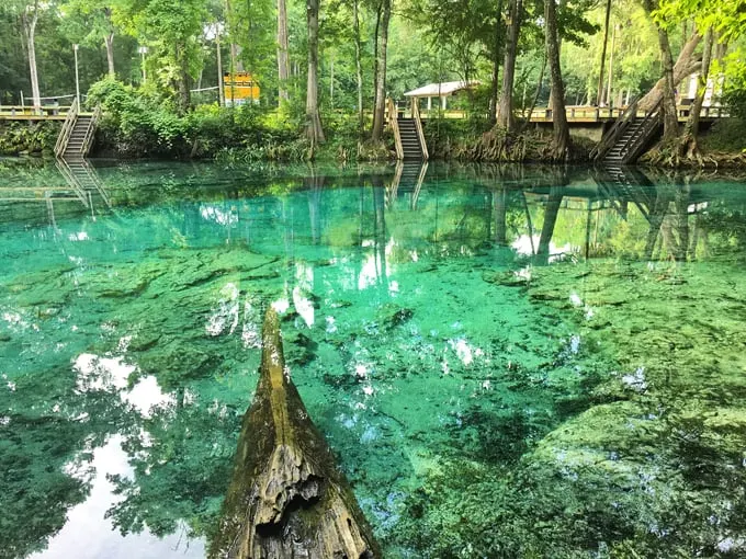 ginnie springs 9