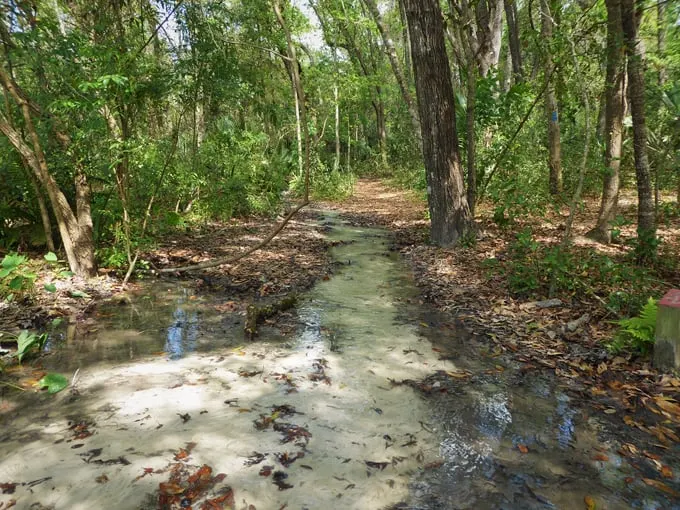 hidden waters preserve 3