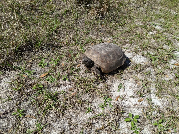 hidden waters preserve 5
