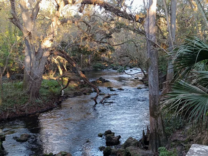 Hillsborough River State Park 6