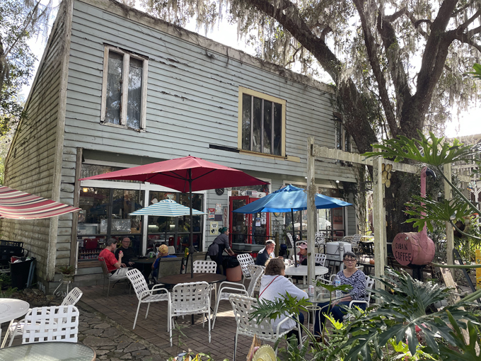 historic downtown micanopy 7