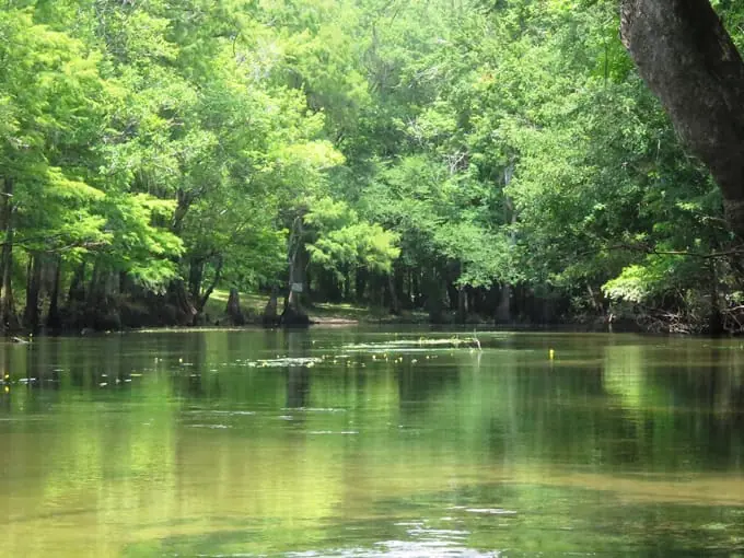holmes creek 6