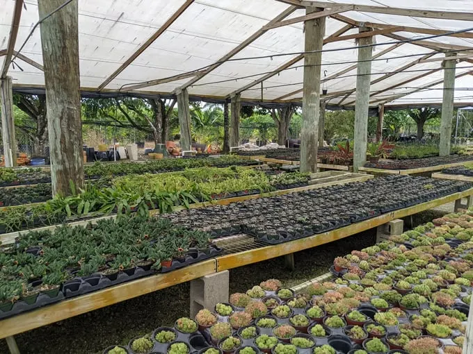 isaac farms 1