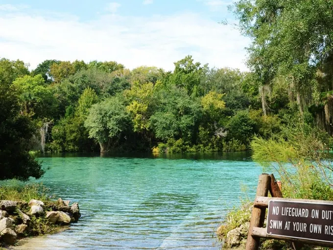 ocala national forest 2