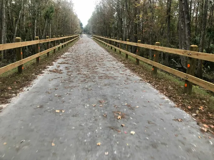 palatka to lake butler state trail 1