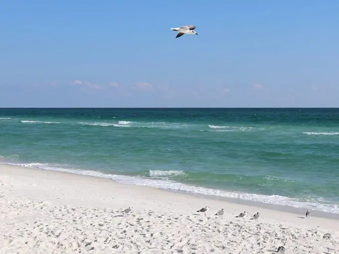 perdido key state park 3
