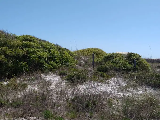 perdido key state park 6
