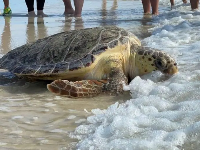 perdido key state park 7