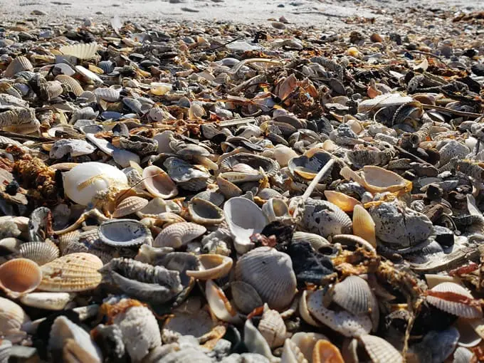 perdido key state park 8
