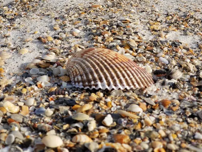 perdido key state park 9