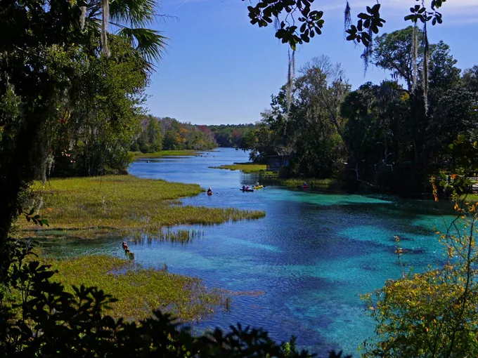 rainbow springs state park 4