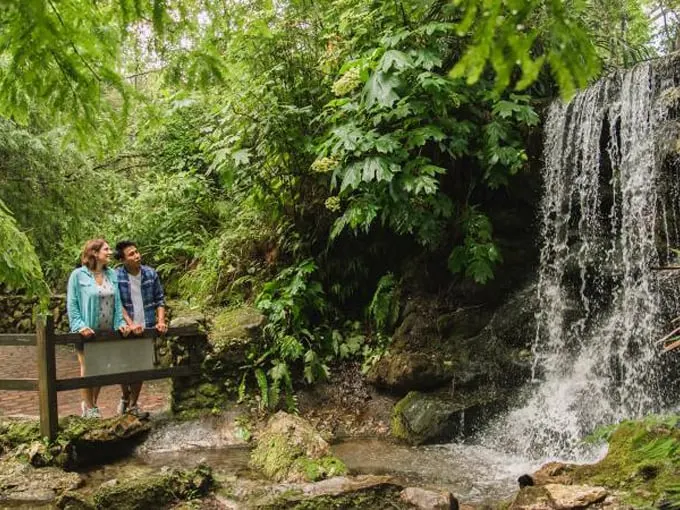 rainbow springs state park 6