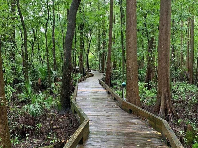 rainbow springs state park 7
